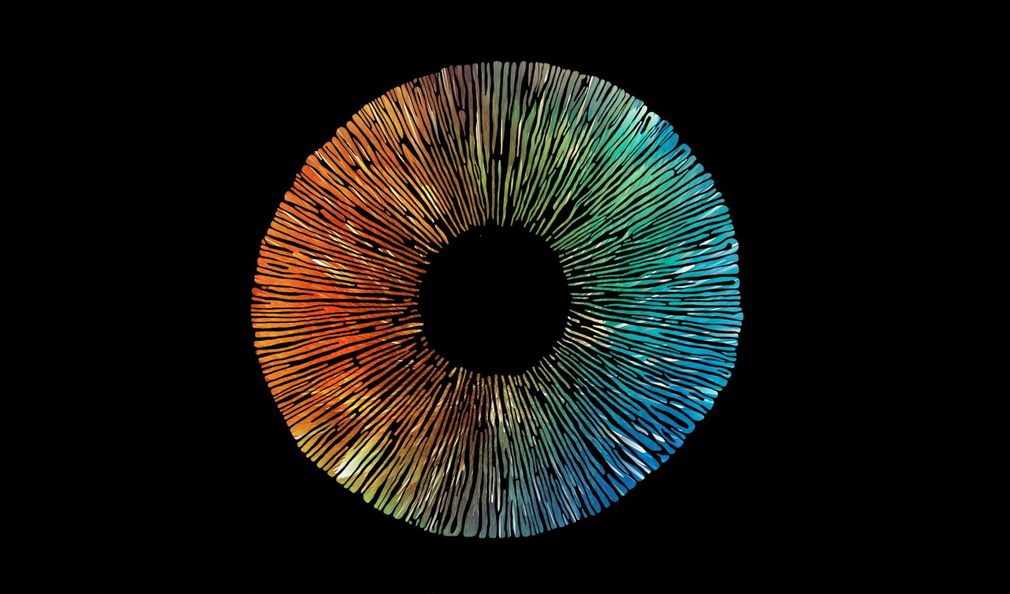 Mycelia – Escape The Ordinary